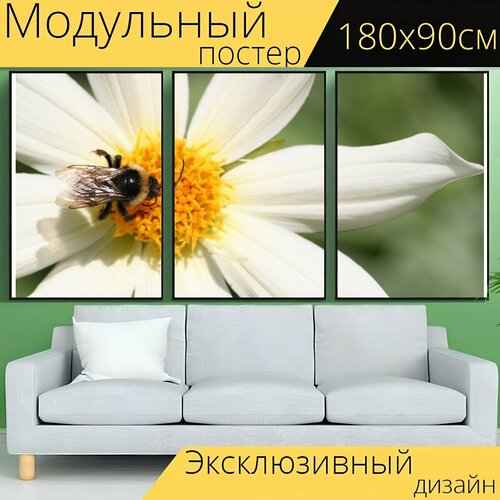Модульный постер "Пчела, мёд, цветок" 180 x 90 см. для интерьера