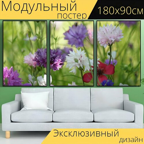 Модульный постер "Цветочный луг, летние цветы, расцветает" 180 x 90 см. для интерьера