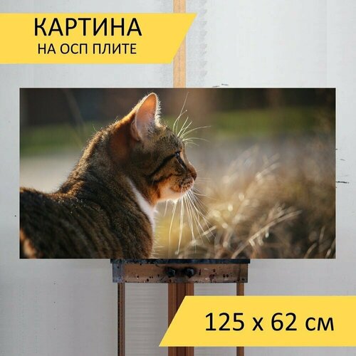 Картина на ОСП 125х62 см. "Кот, котенок, скумбрия" горизонтальная, для интерьера, с креплениями