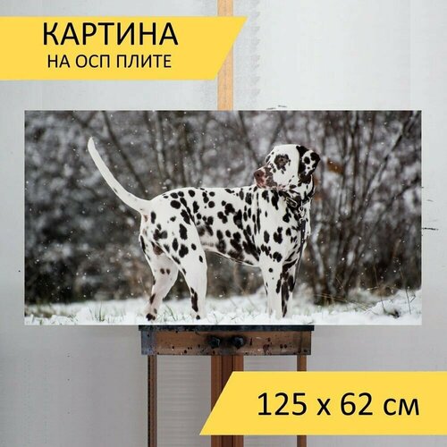 Картина на ОСП 125х62 см. "Далматинец, собака, снег" горизонтальная, для интерьера, с креплениями