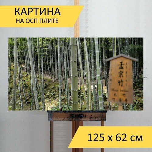 Картина на ОСП 125х62 см. "Лес, бамбук, япония" горизонтальная, для интерьера, с креплениями