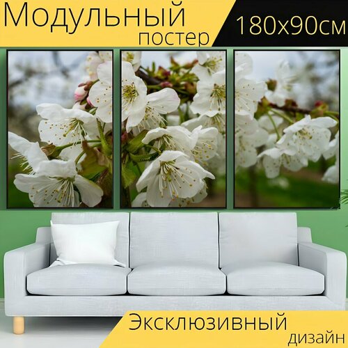 Модульный постер "Расцветает, белый, весна" 180 x 90 см. для интерьера