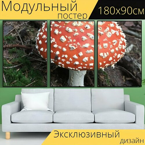Модульный постер "Гриб, мухомор, лес" 180 x 90 см. для интерьера