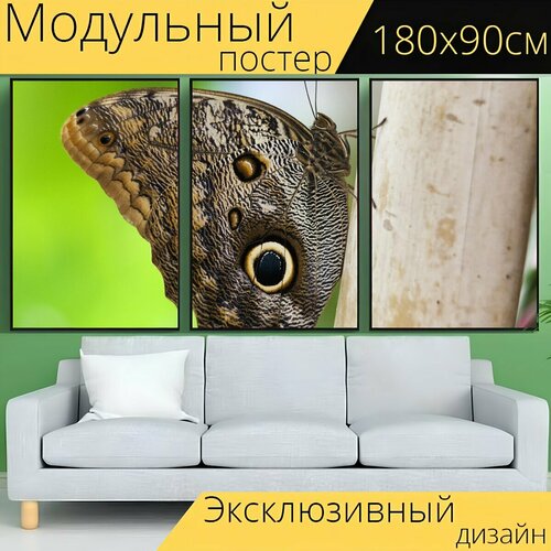 Модульный постер "Насекомое, бабочка, природа" 180 x 90 см. для интерьера