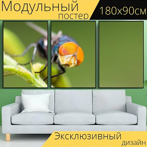 Модульный постер "Макрос, насекомое, летать" 180 x 90 см. для интерьера