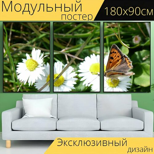 Модульный постер "Полевые цветы, ромашки, бабочка" 180 x 90 см. для интерьера