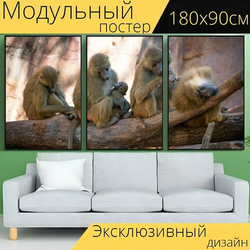 Модульный постер "Бабуин, обезьяна, группа" 180 x 90 см. для интерьера