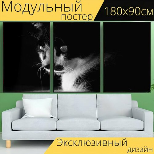 Модульный постер "Кошка, котенок, черный и белый" 180 x 90 см. для интерьера