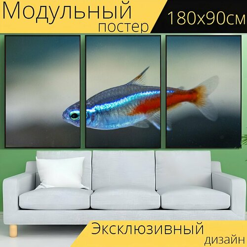Модульный постер "Неоновая тетра, рыбы, подводный" 180 x 90 см. для интерьера