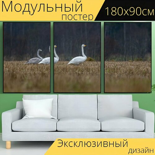Модульный постер "Кликунов, птицы, поле" 180 x 90 см. для интерьера
