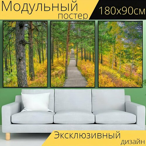 Модульный постер "Деревья, парк, дорожка" 180 x 90 см. для интерьера
