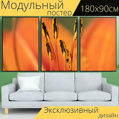 Модульный постер "Цветок, апельсин, блум" 180 x 90 см. для интерьера