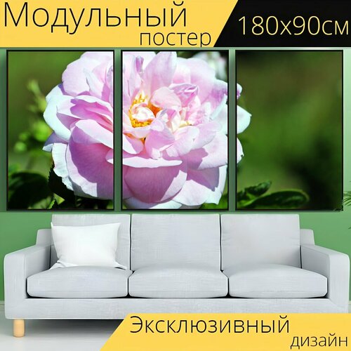 Модульный постер "Роза, королева, цветов" 180 x 90 см. для интерьера