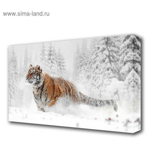 Картина на холсте Topposters "Тигр в снегу", 60*100 см