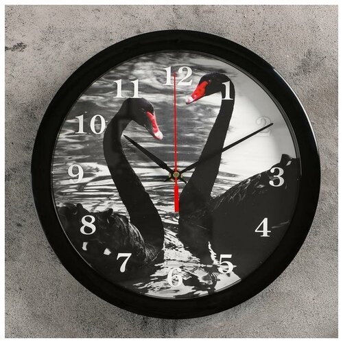 Часы настенные, серия: Животный мир, "Лебеди", плавный ход, d=28 см