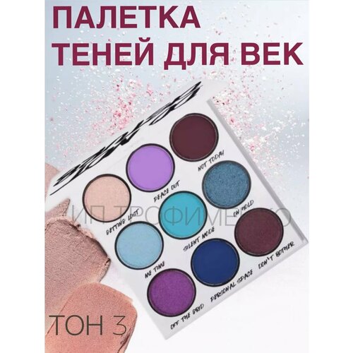 Палетка теней BH Cosmetics DO NOT DISTURB