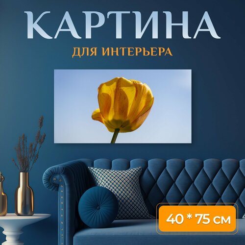 Картина на холсте "Тюльпан, цветок, сад" на подрамнике 75х40 см. для интерьера