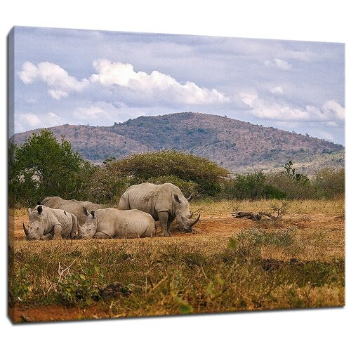 Картина Уютная стена "Отдыхающие носороги" 80х60 см
