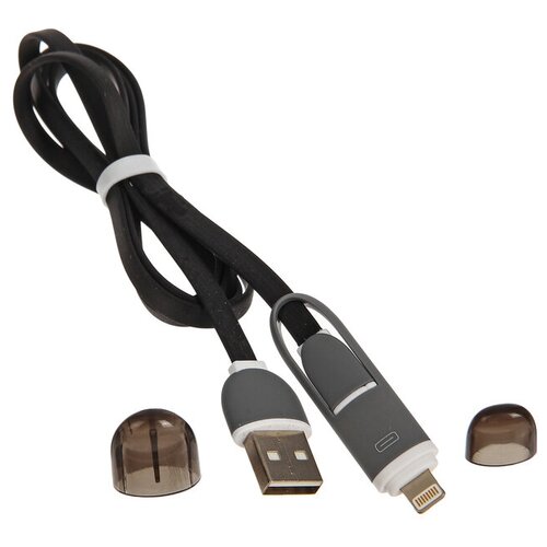 Кабель 2 в 1 RITMIX RCC-200, micro USB/lighting - USB, плоский, 1 А, 1 м, черный 2819664