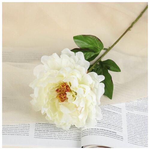 Цветы искусственные "Пион бархатный" 15*55 см, белый