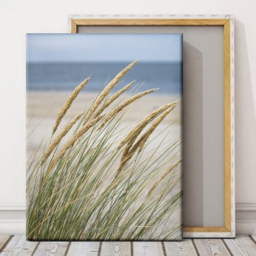 Картина на холсте 40х50 см "Колосья травы на ветру", Большая картина для интерьера на стену, на подрамнике