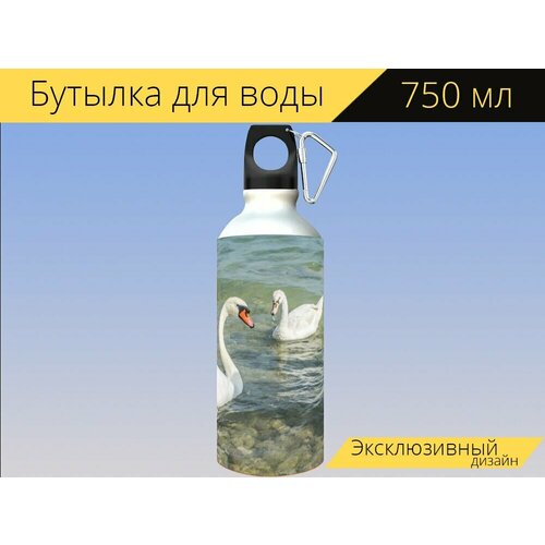 Бутылка фляга для воды "Лебеди, птицы, природа" 750 мл. с карабином и принтом