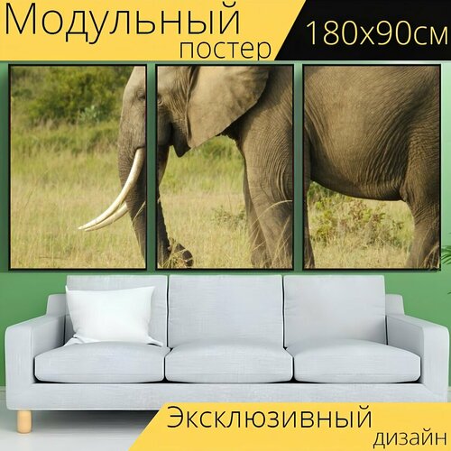 Модульный постер "Африка, слон, дикая природа" 180 x 90 см. для интерьера