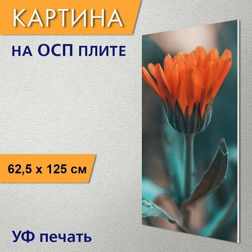 Вертикальная картина на ОСП "Цветок, оранжевый, природа" 62x125 см. для интерьериа