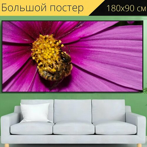 Большой постер "Цветок, цвести, цветочная пыльца" 180 x 90 см. для интерьера
