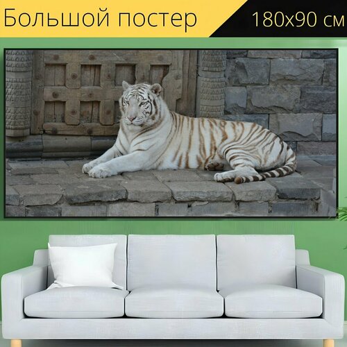 Большой постер "Тигр, белый, королевский" 180 x 90 см. для интерьера