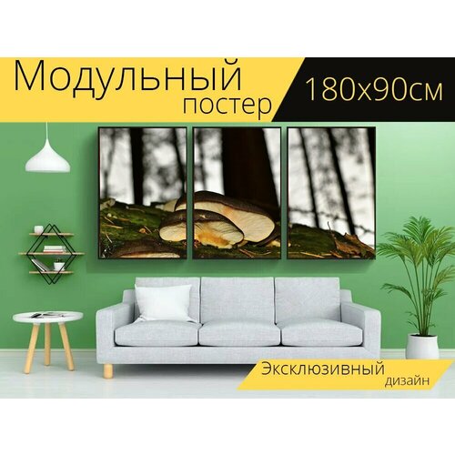 Модульный постер "Грибы, дерево грибов, ствол дерева" 180 x 90 см. для интерьера