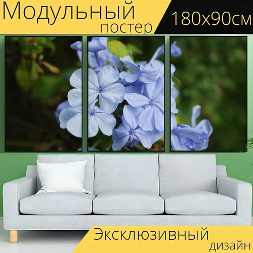 Модульный постер "Цветы, синие цветы, лепестки" 180 x 90 см. для интерьера