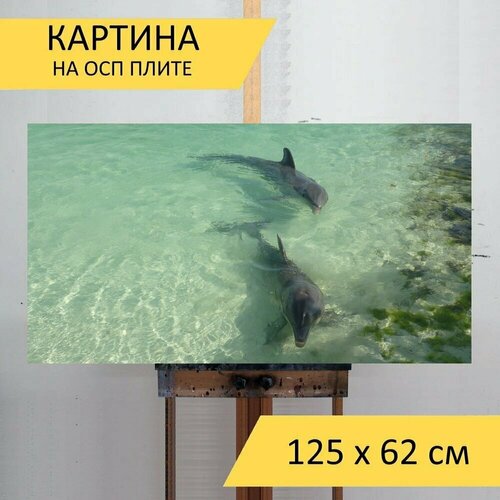 Картина на ОСП 125х62 см. "Дельфины, море, синий" горизонтальная, для интерьера, с креплениями
