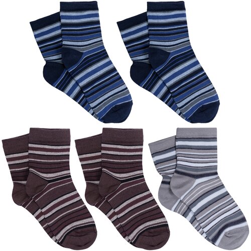 Носки LorenzLine 5 пар, размер 8-10, серый, синий