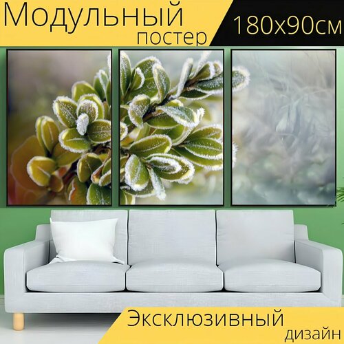 Модульный постер "Куст, листья, природа" 180 x 90 см. для интерьера