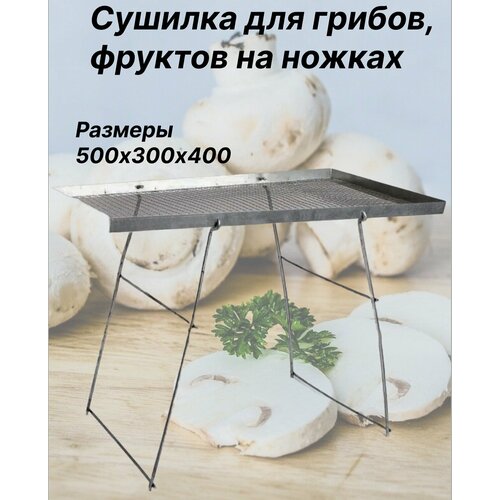 Сушилка для грибов, фруктов; на ножках, 500*300*400мм, прямоугольная