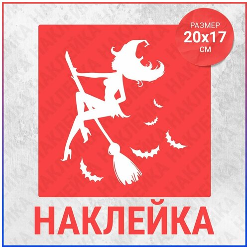 Интерьерные наклейки 20x17 Ведьма на метле
