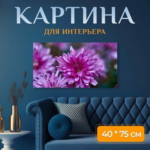 Картина на холсте "Естественный, хризантема, цветок" на подрамнике 75х40 см. для интерьера