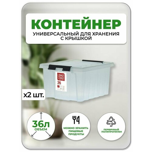 Контейнер универсальный для хранения с крышкой 36 л. 50х39х25.9 2 шт.