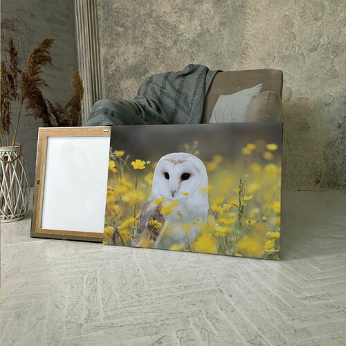 Картина на холсте (Белая сова среди поля желтых цветочков, ночная птица) 40 60 см/ для интерьера/в комнату/на стену/в подарок