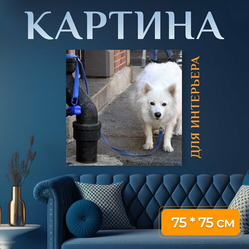 Картина на холсте "Собака, поводок, защищать" на подрамнике 75х75 см. для интерьера