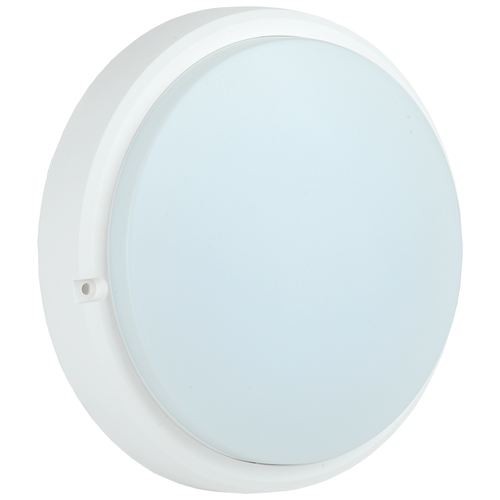 Настенно-потолочный светильник IEK ДПО 4006 (12Вт 6500K), 12 Вт, кол-во ламп: 1 шт., 6500 К, цвет арматуры: белый, цвет плафона: белый