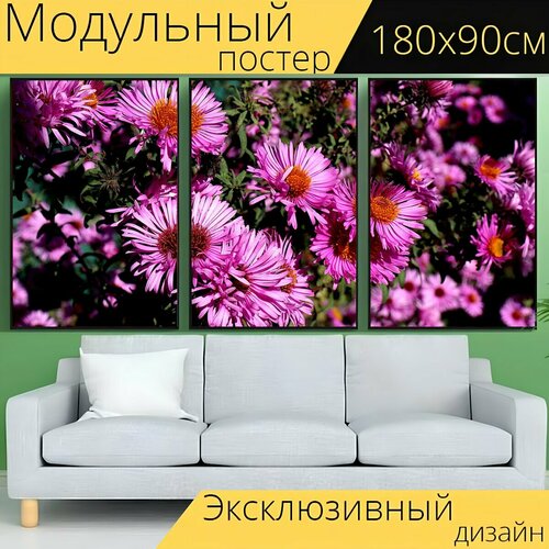 Модульный постер "Маргаритка, цветы, растения" 180 x 90 см. для интерьера