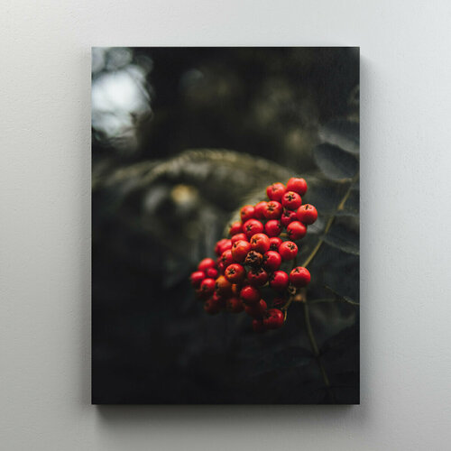 Интерьерная картина на холсте "Красная рябина" цветы и растения, размер 30x40 см
