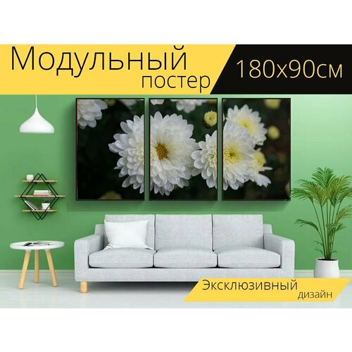 Модульный постер "Хризантемы, цветок, завод" 180 x 90 см. для интерьера
