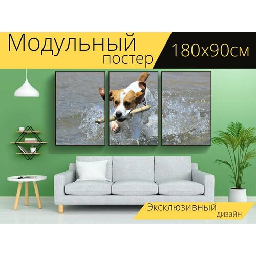 Модульный постер "Бигл, друг, собака" 180 x 90 см. для интерьера