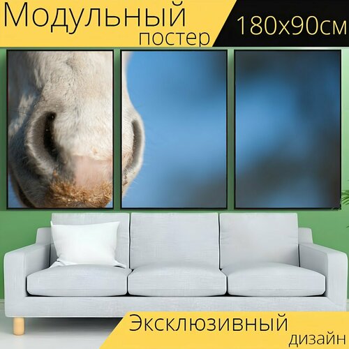 Модульный постер "Лошадь, белый, животное" 180 x 90 см. для интерьера