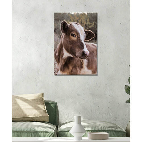 Картина -Корова, коричневая корова, корова на пастбище, бык (14) 50х70