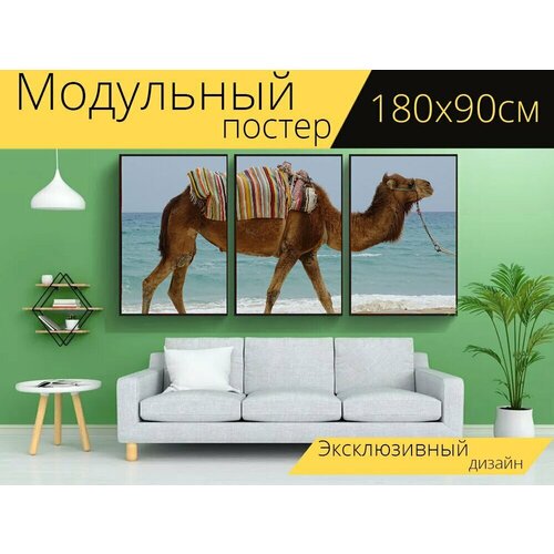 Модульный постер "Верблюд, животное, море" 180 x 90 см. для интерьера