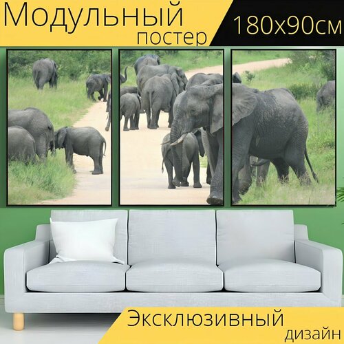 Модульный постер "Африканские слоны, стадо, в дороге" 180 x 90 см. для интерьера